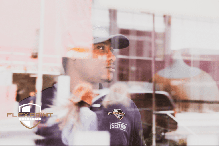 About Us | Flex Point Security